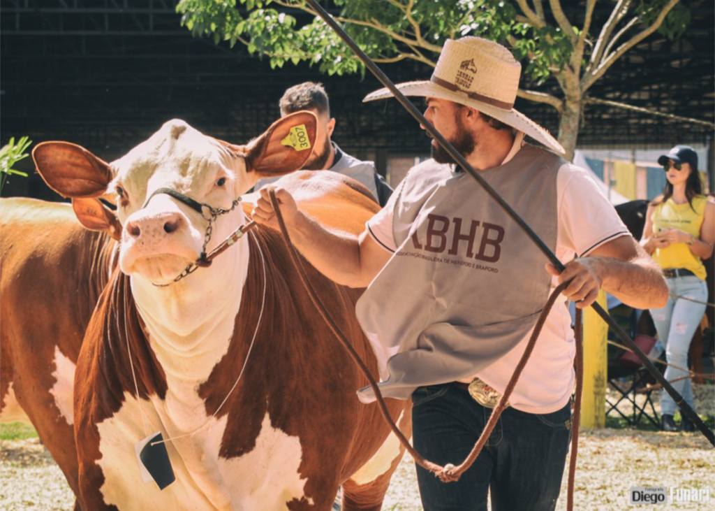 ABHB | ABHB divulga primeira etapa do Ranking Nacional HB 2020