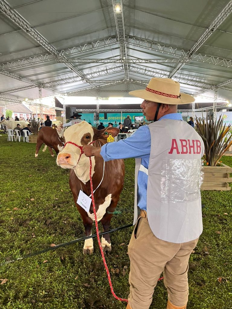 ABHB | Santa Catarina realiza primeira exposição ranqueada pela ABHB em ...