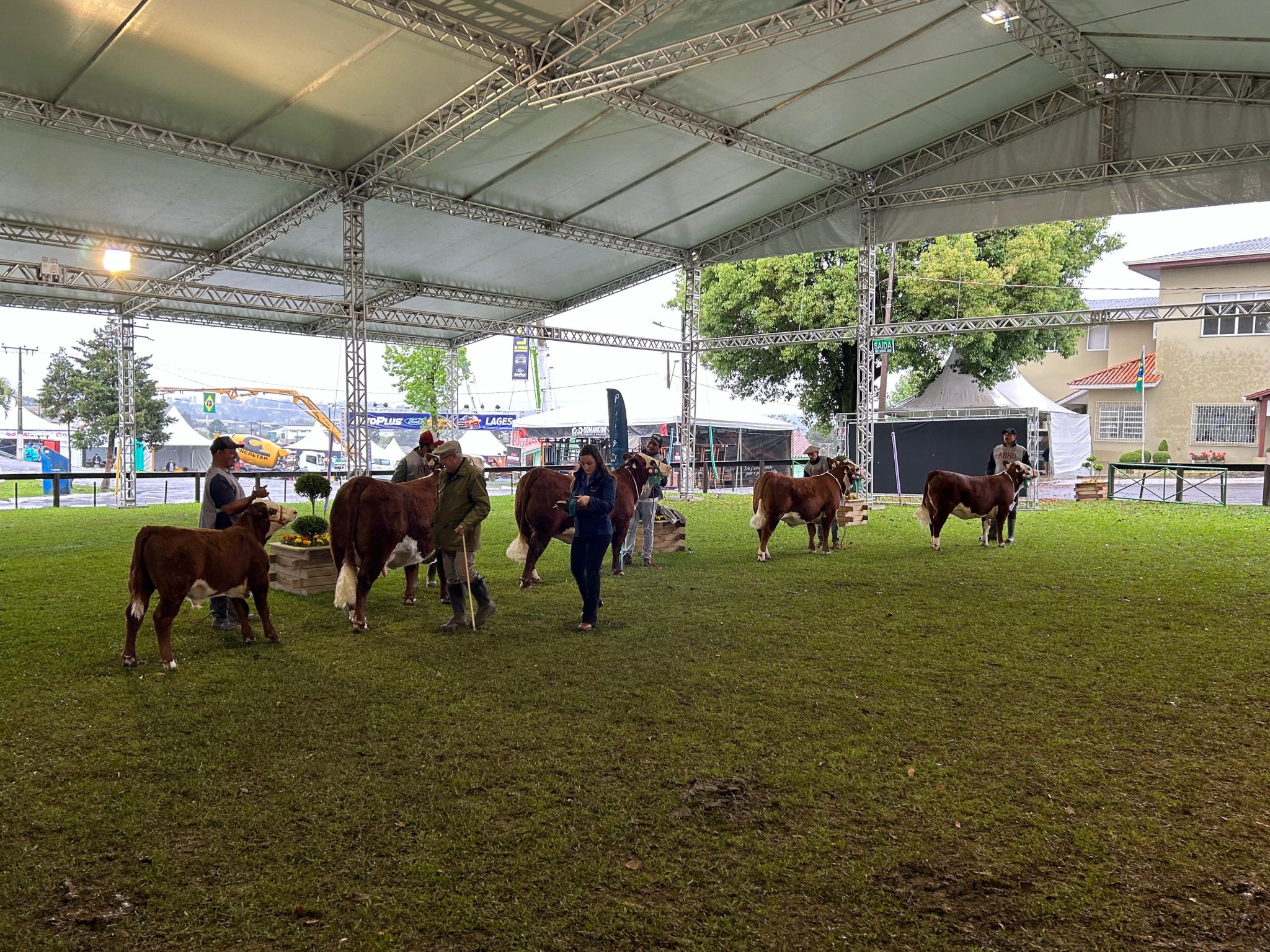 ABHB | Conheça os campeões da ExpoLages